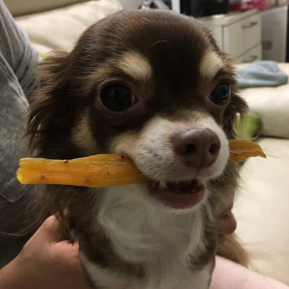 OMOCAアルバム2022 - OMOCA