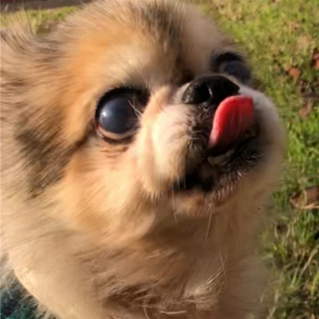 OMOCAアルバム2021 - OMOCA