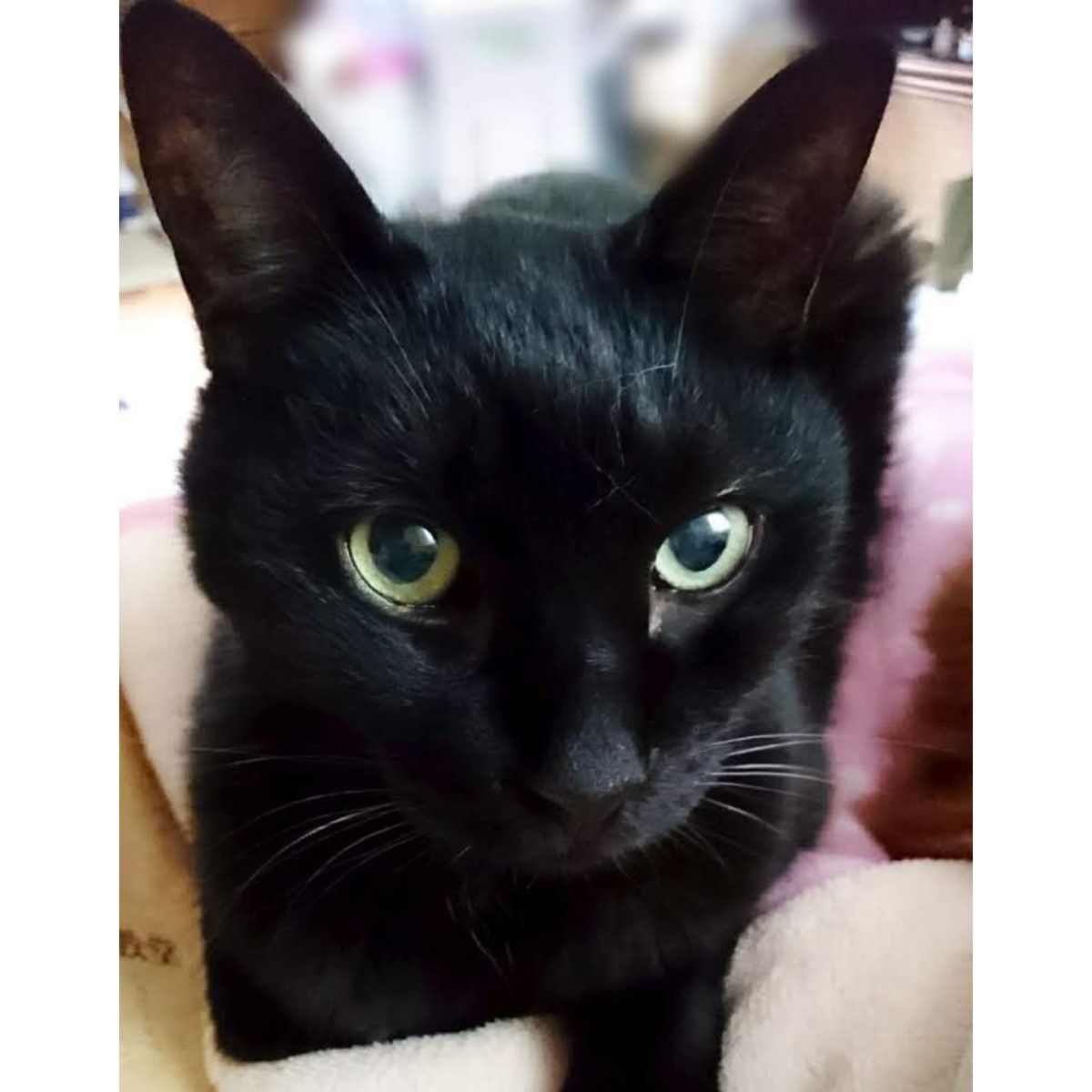 OMOCAアルバム2022 - OMOCA