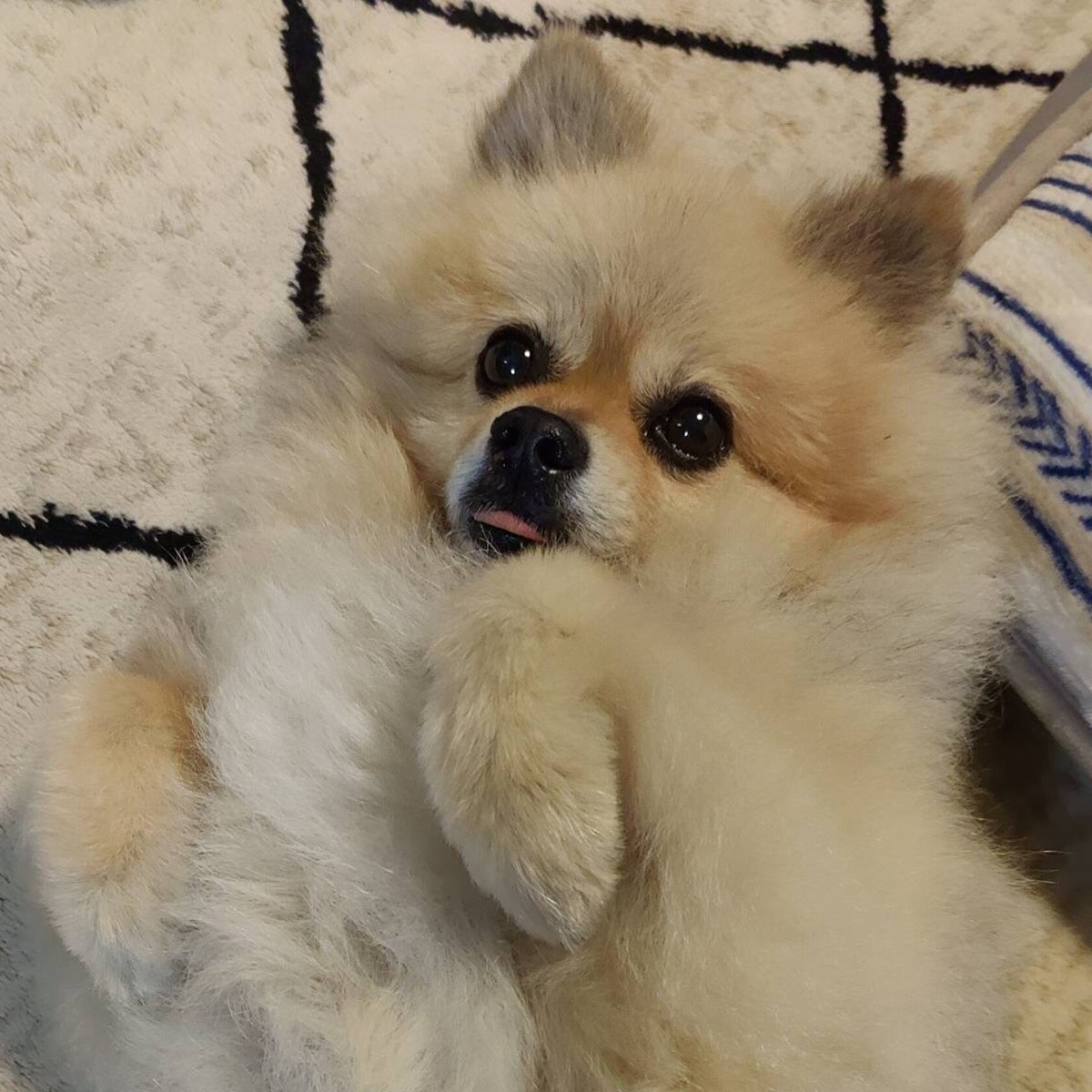 OMOCAアルバム2022 - OMOCA