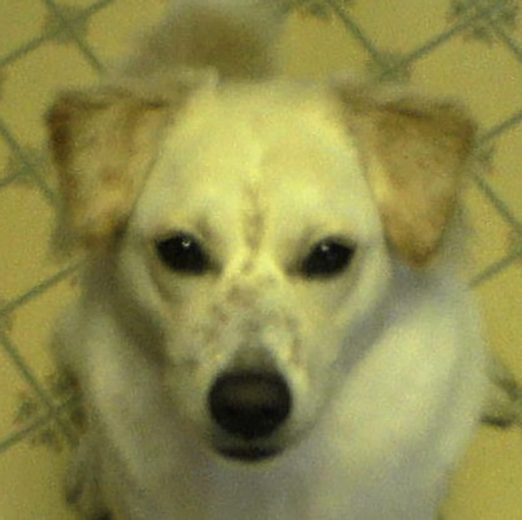 OMOCAアルバム2018 - OMOCA