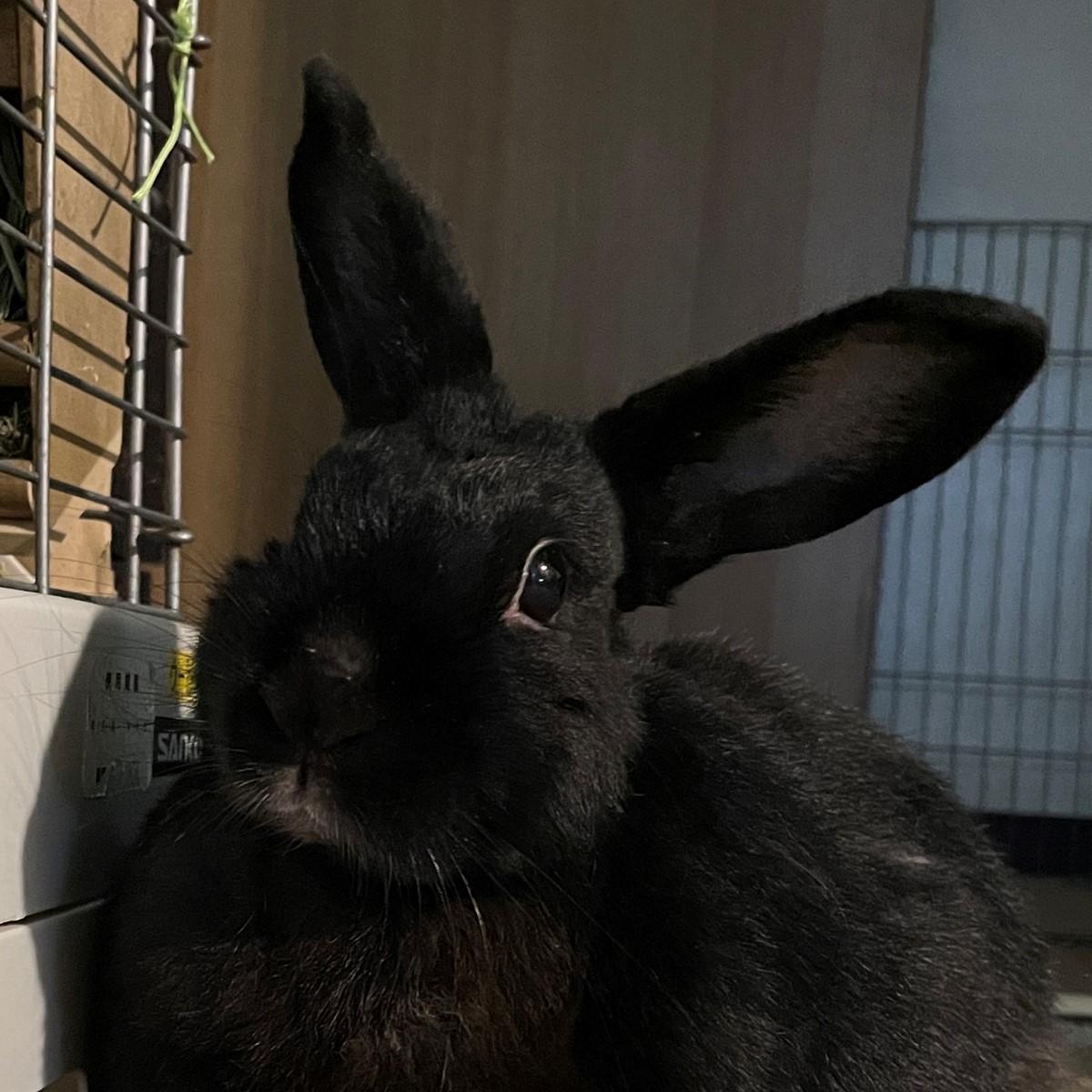 OMOCAアルバム2022 - OMOCA