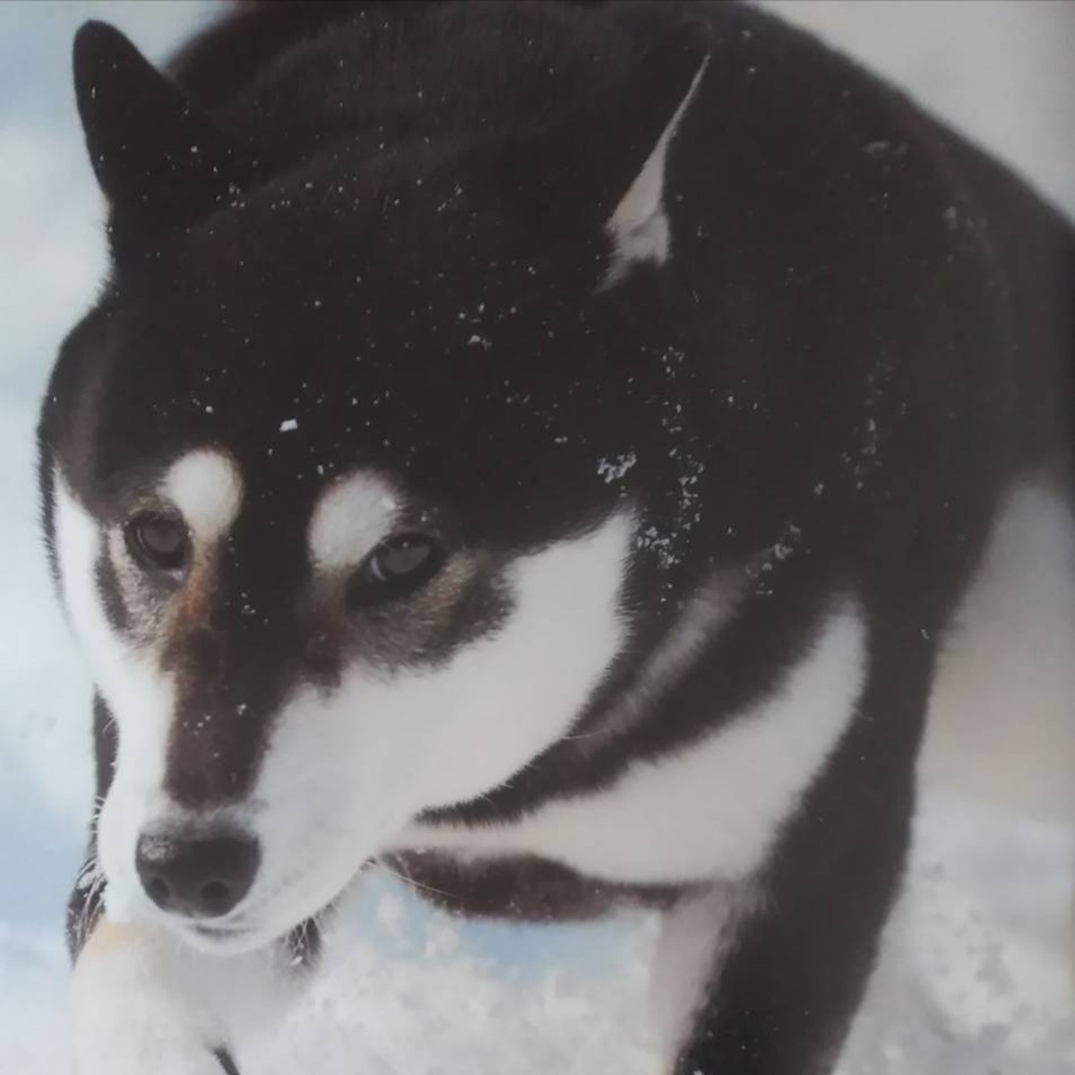 OMOCAアルバム2022 - OMOCA