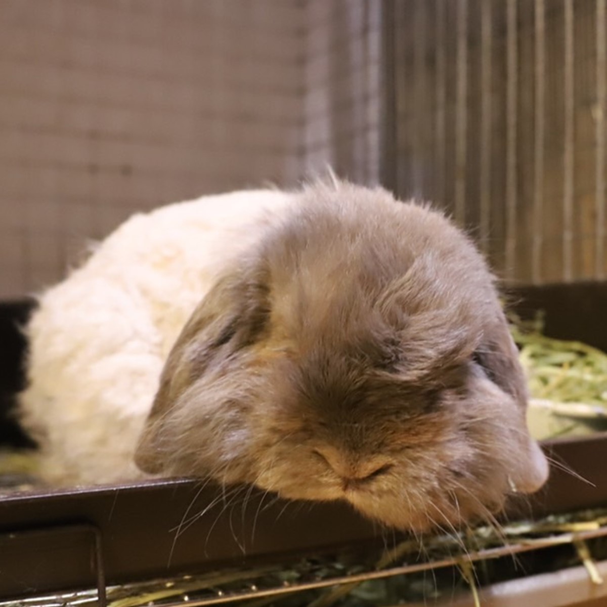 OMOCAアルバム2022 - OMOCA