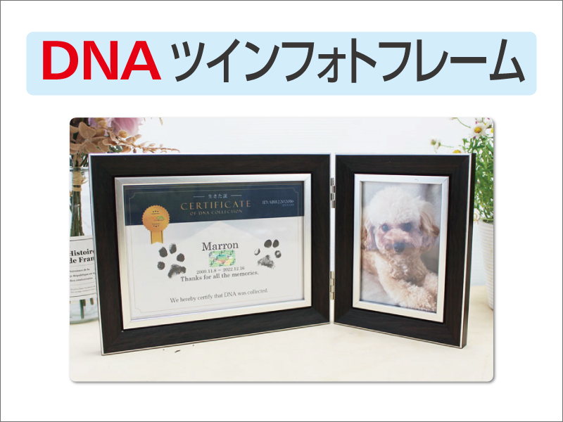 【お知らせ】OMOCAに新しいアイテムが加わりました｜2023年6月1日 - OMOCA