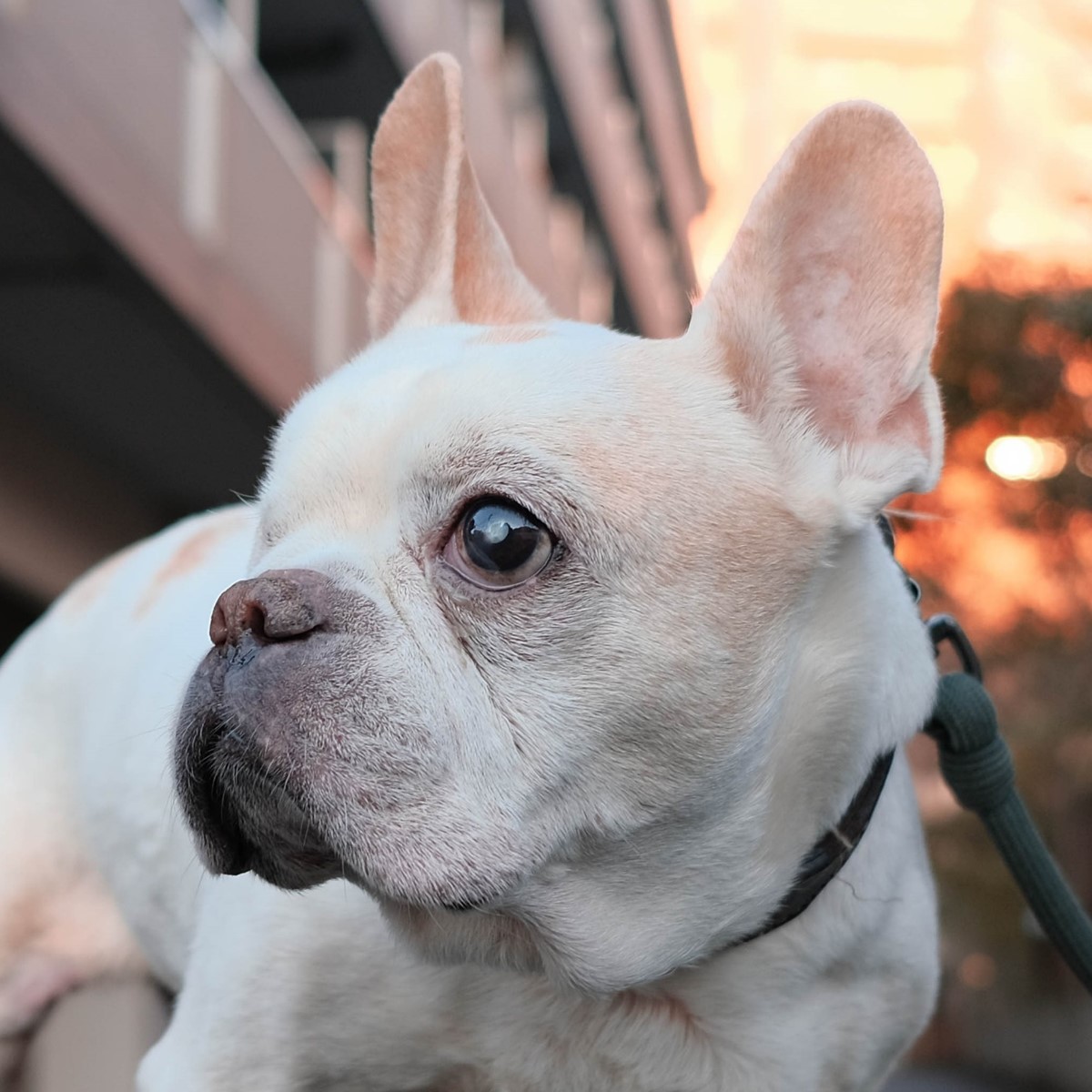 OMOCAアルバム2022 - OMOCA