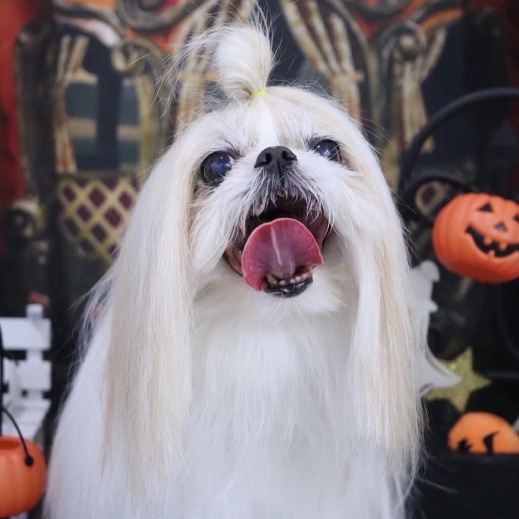 OMOCAアルバム2022 - OMOCA