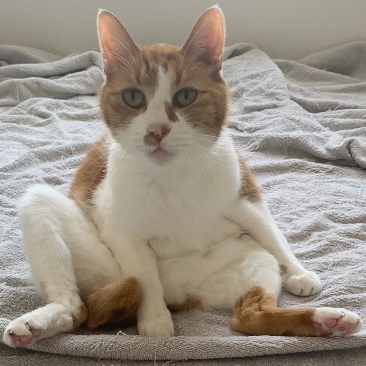 OMOCAアルバム2022 - OMOCA