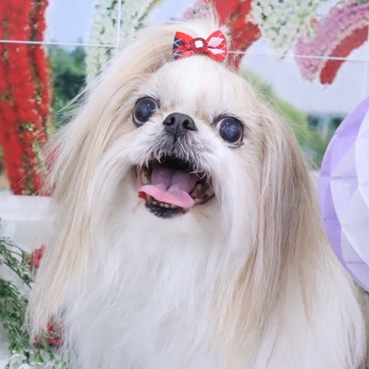 OMOCAアルバム2022 - OMOCA