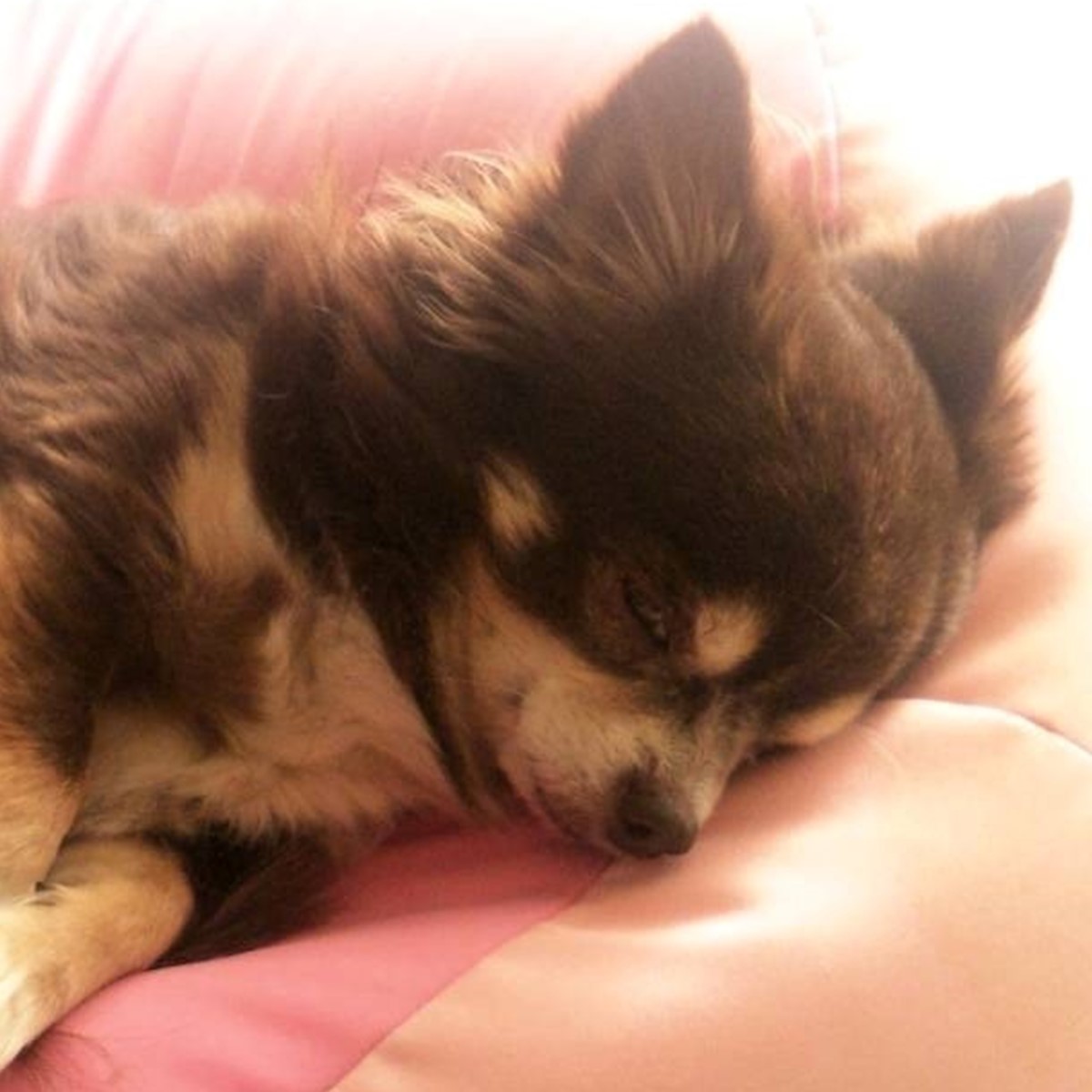 OMOCAアルバム2022 - OMOCA