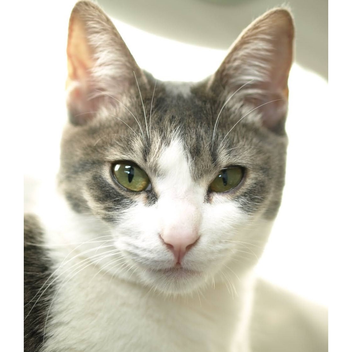 OMOCAアルバム2022 - OMOCA