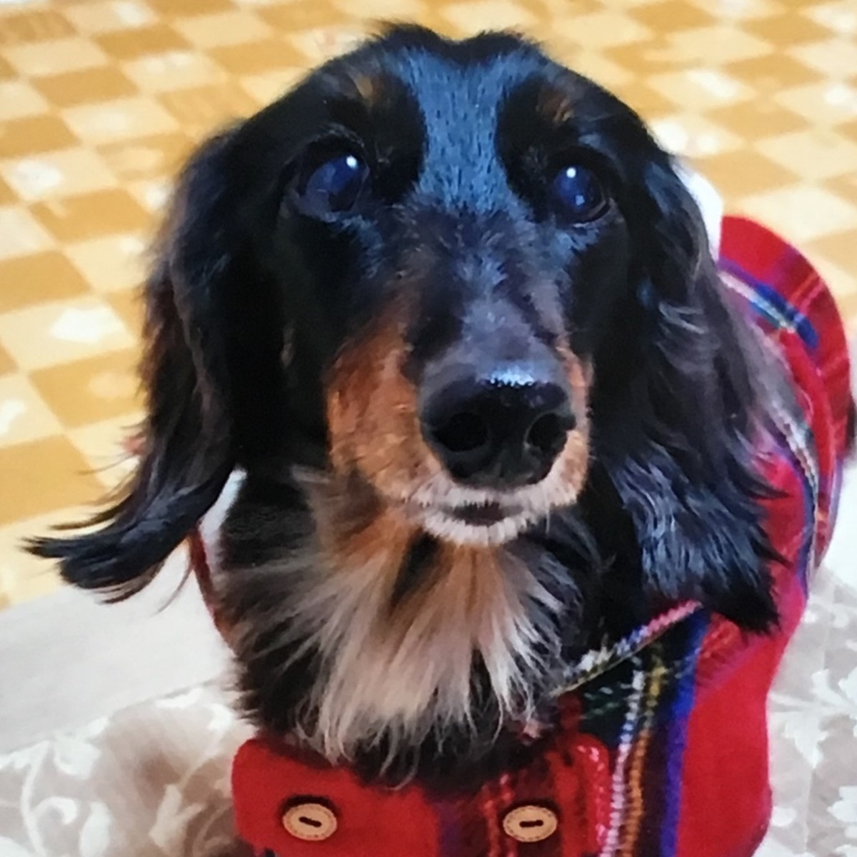 OMOCAアルバム2022 - OMOCA