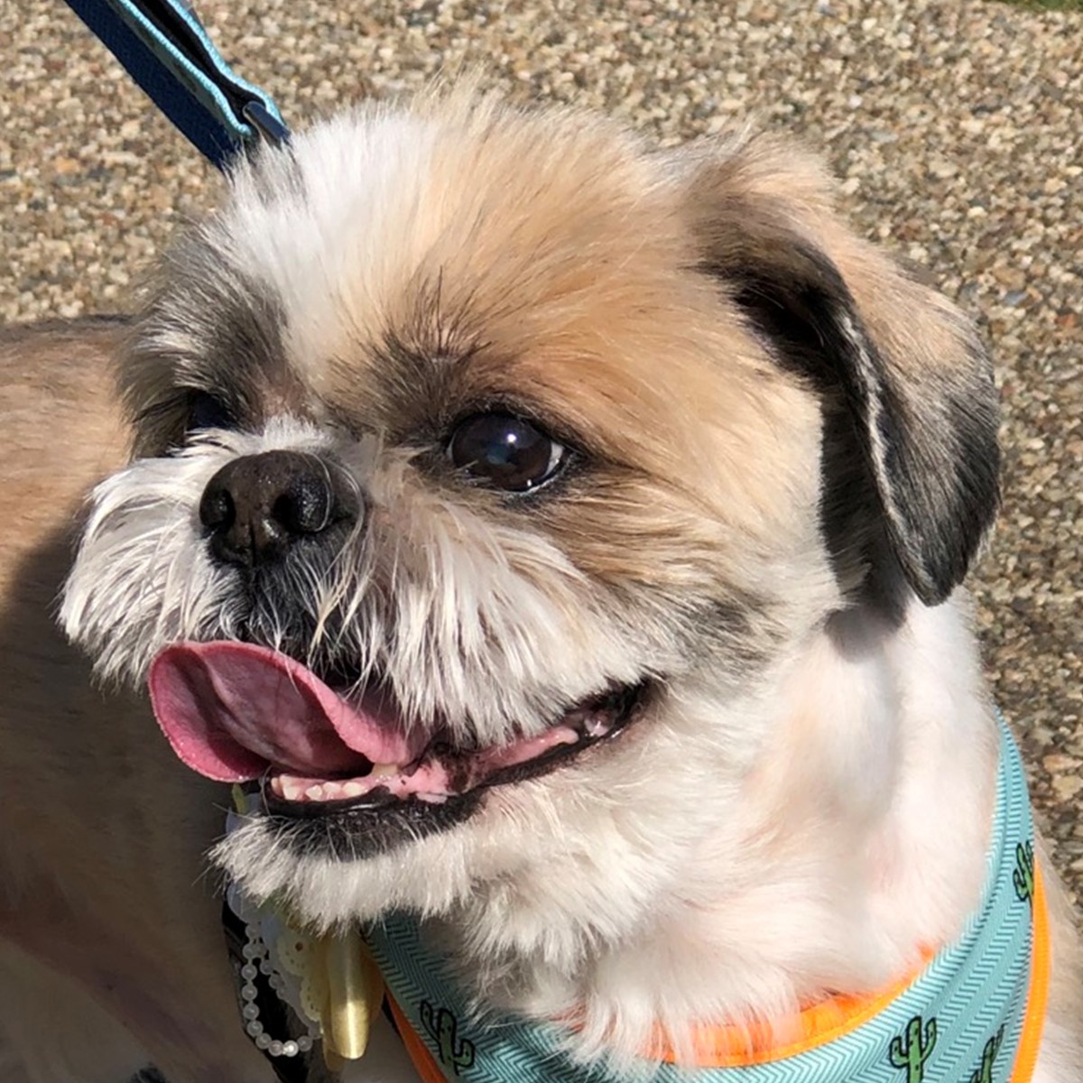 OMOCAアルバム2022 - OMOCA