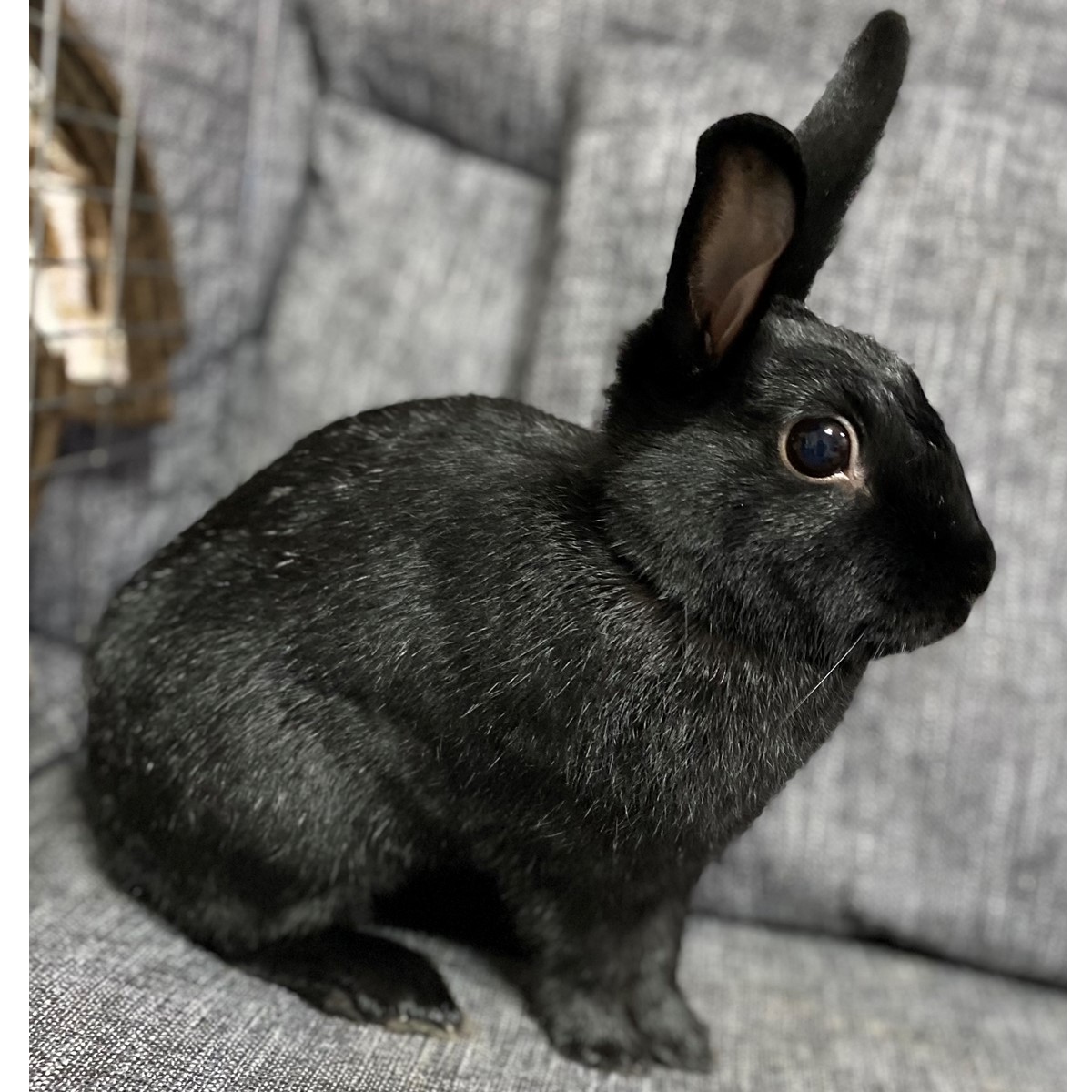 OMOCAアルバム2021 - OMOCA