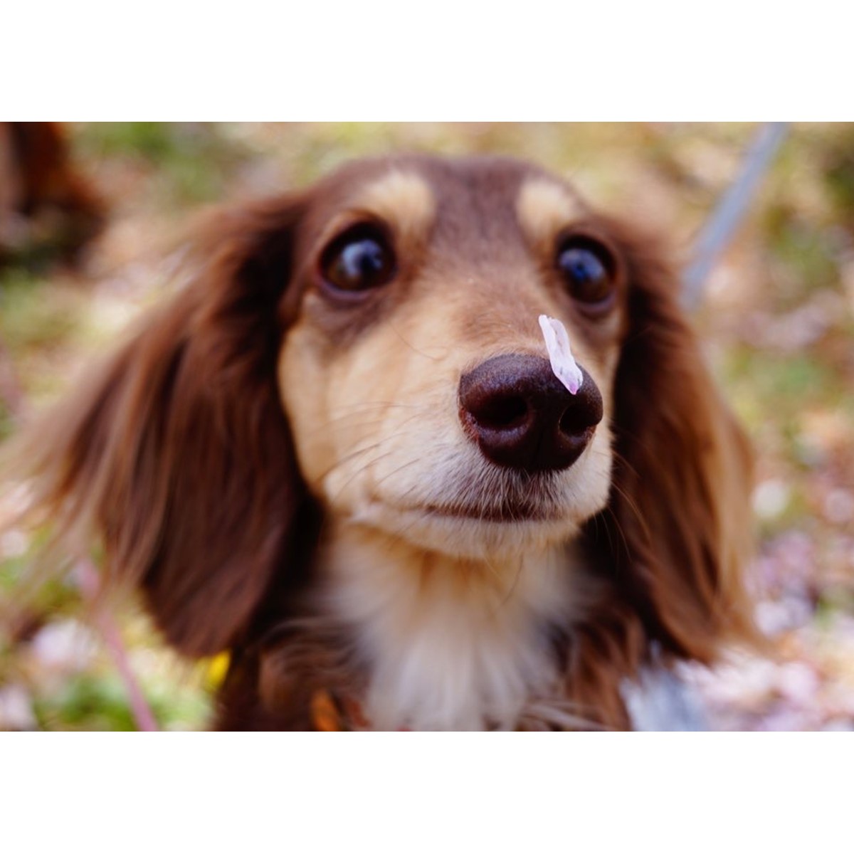 OMOCAアルバム2022 - OMOCA