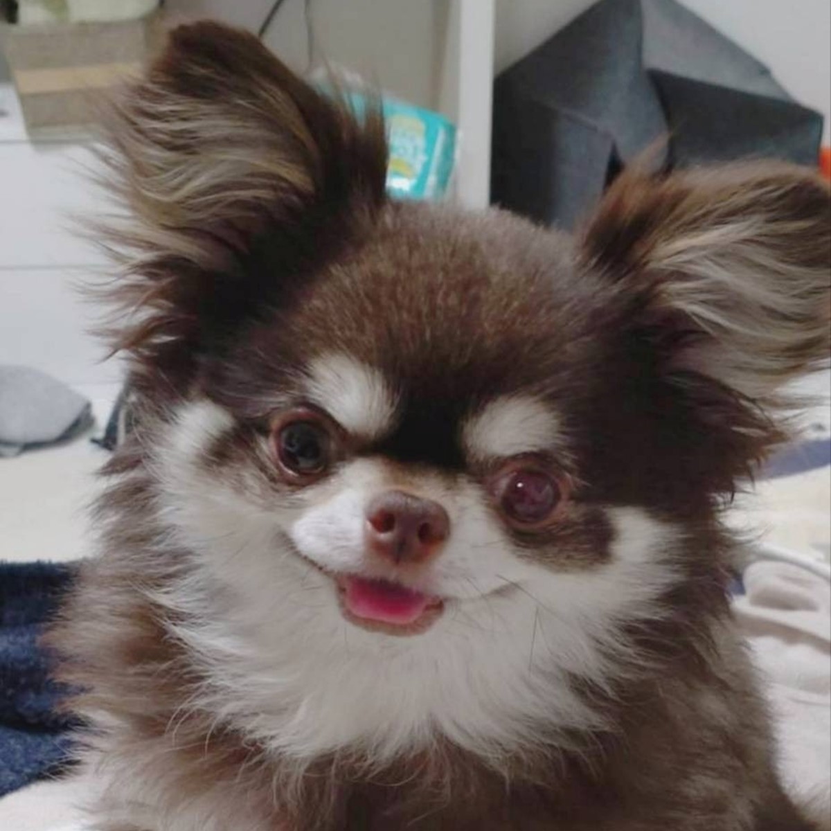 OMOCAアルバム2022 - OMOCA