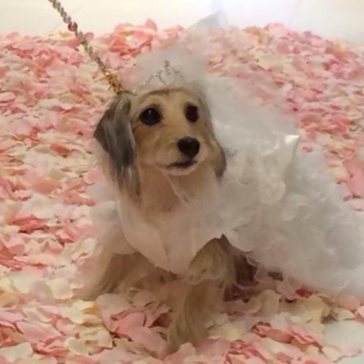 OMOCAアルバム2021 - OMOCA